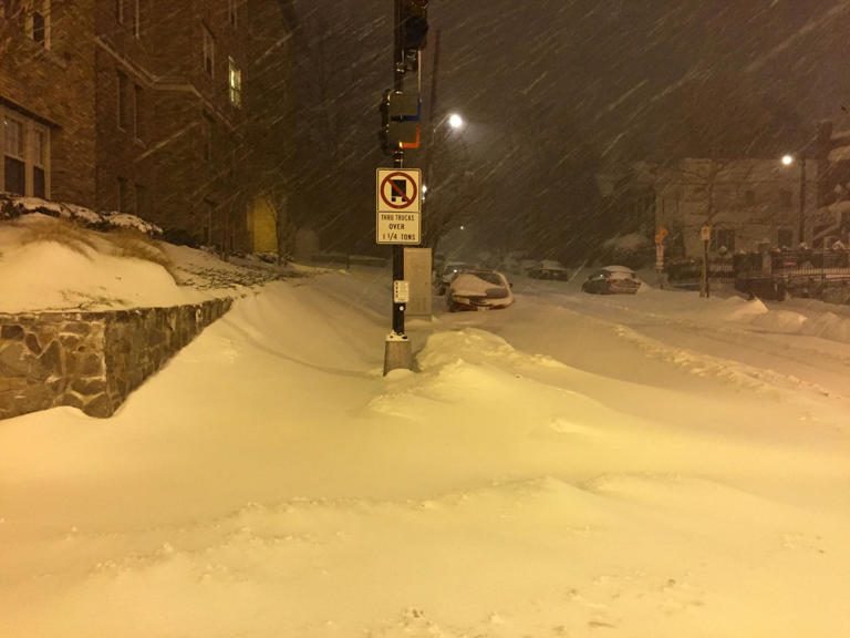 January looks colder than normal in DC., with near-average snow potential