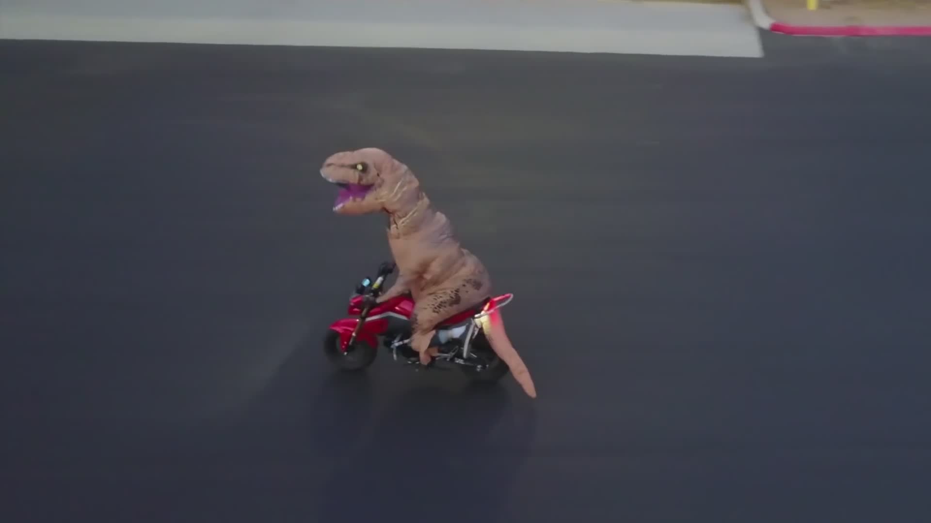 Routine traffic stop reveals outstanding warrant in background check