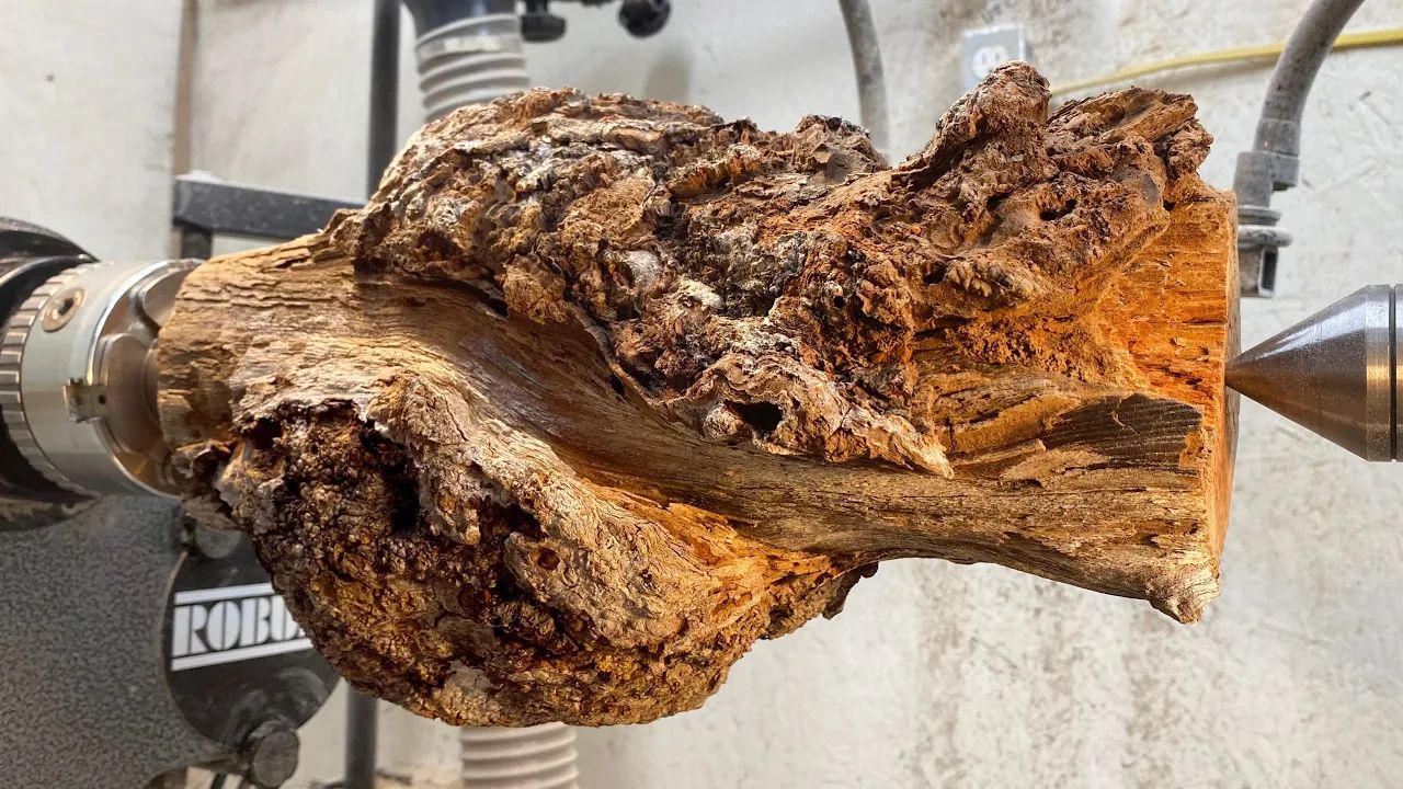 Watch me transform a cherry burl into art
