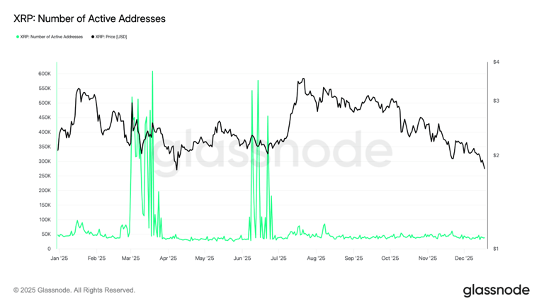 The XRP army got everything except $5 price: Will 2026 deliver?
