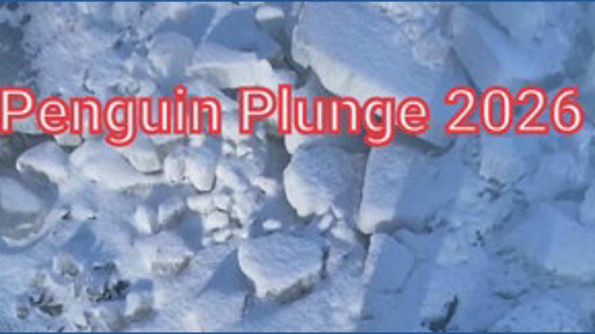 Preview of Penguin Plunge 2026