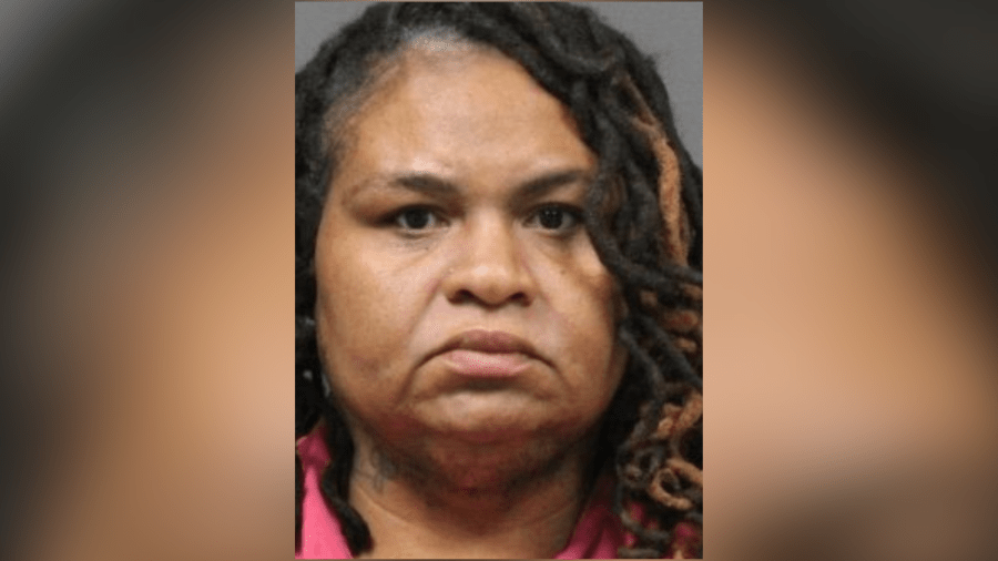 Woman accused of stealing over $20K in SNAP benefits