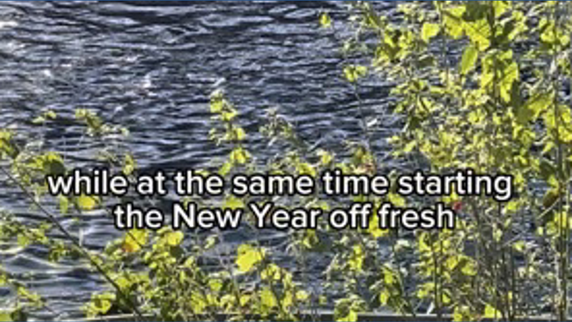 Polar Bear Splash 2026 held at Barton Springs Pool