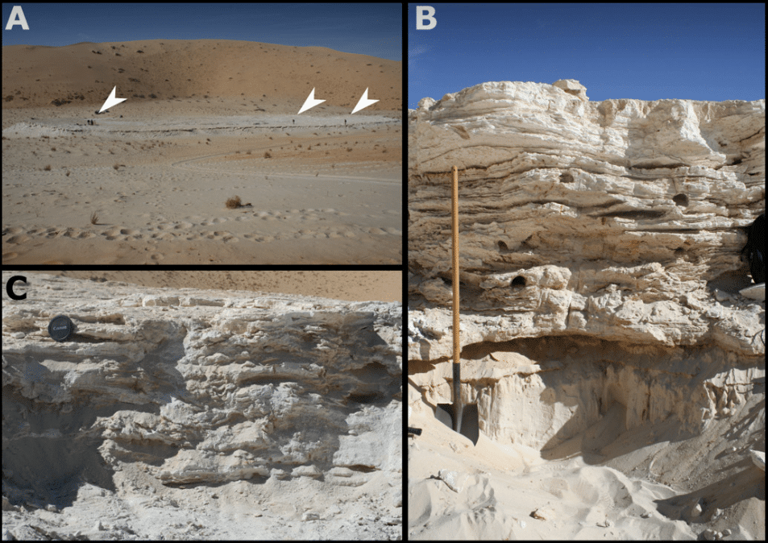 115,000-year-old footprints found in a place where humans weren’t ...