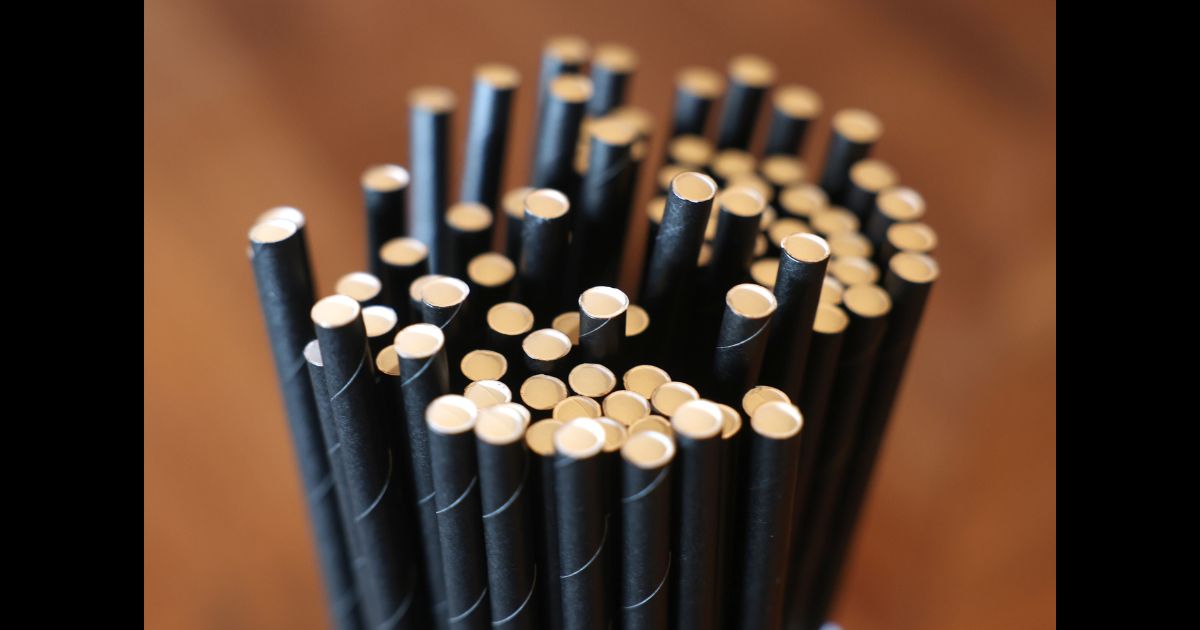 Florida moves to ban paper straws as 'concerning health risks' emerge