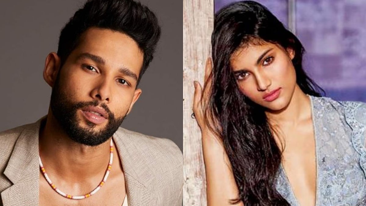 Siddhant Chaturvedi and Alizeh Agnihotri to join hands for remake of ...