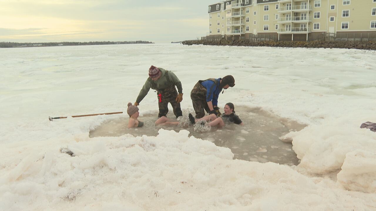 'Why not jump into icy cold water?': Polar dippers kick off new year in ...