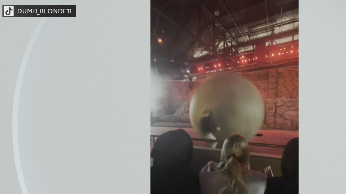 Disney cast member recovering after being hurt by prop boulder