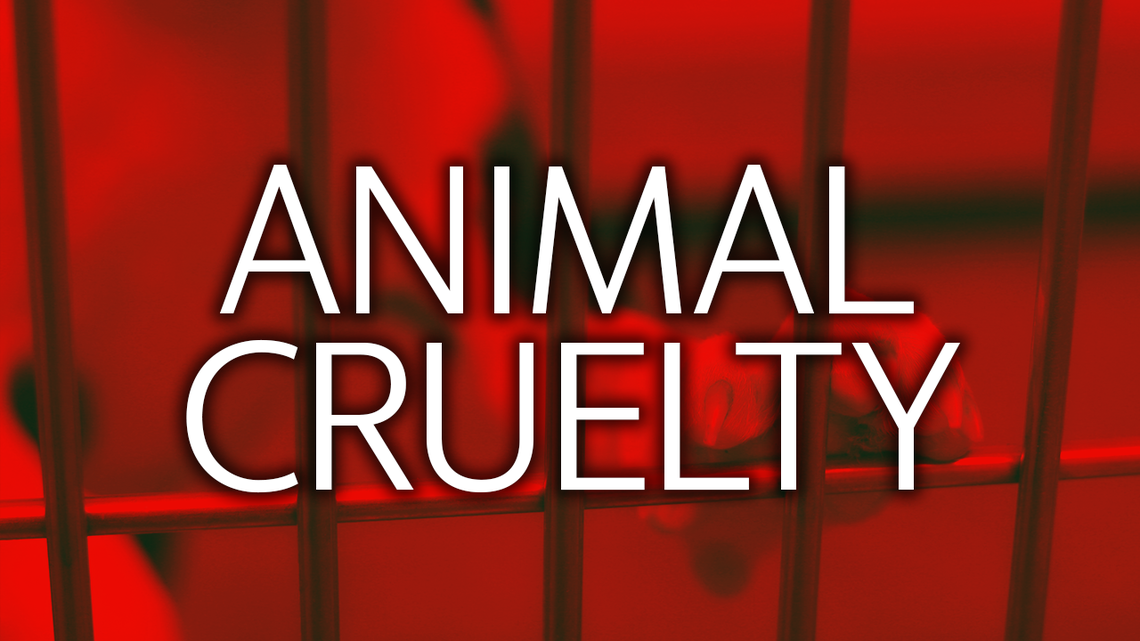 2 Northern California men plead guilty to poaching 8 bears, more ...