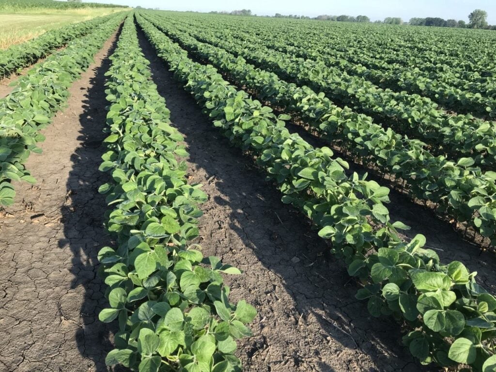 'Two old dogs trying to learn new tricks' — Dave Ramsey steps in as ...