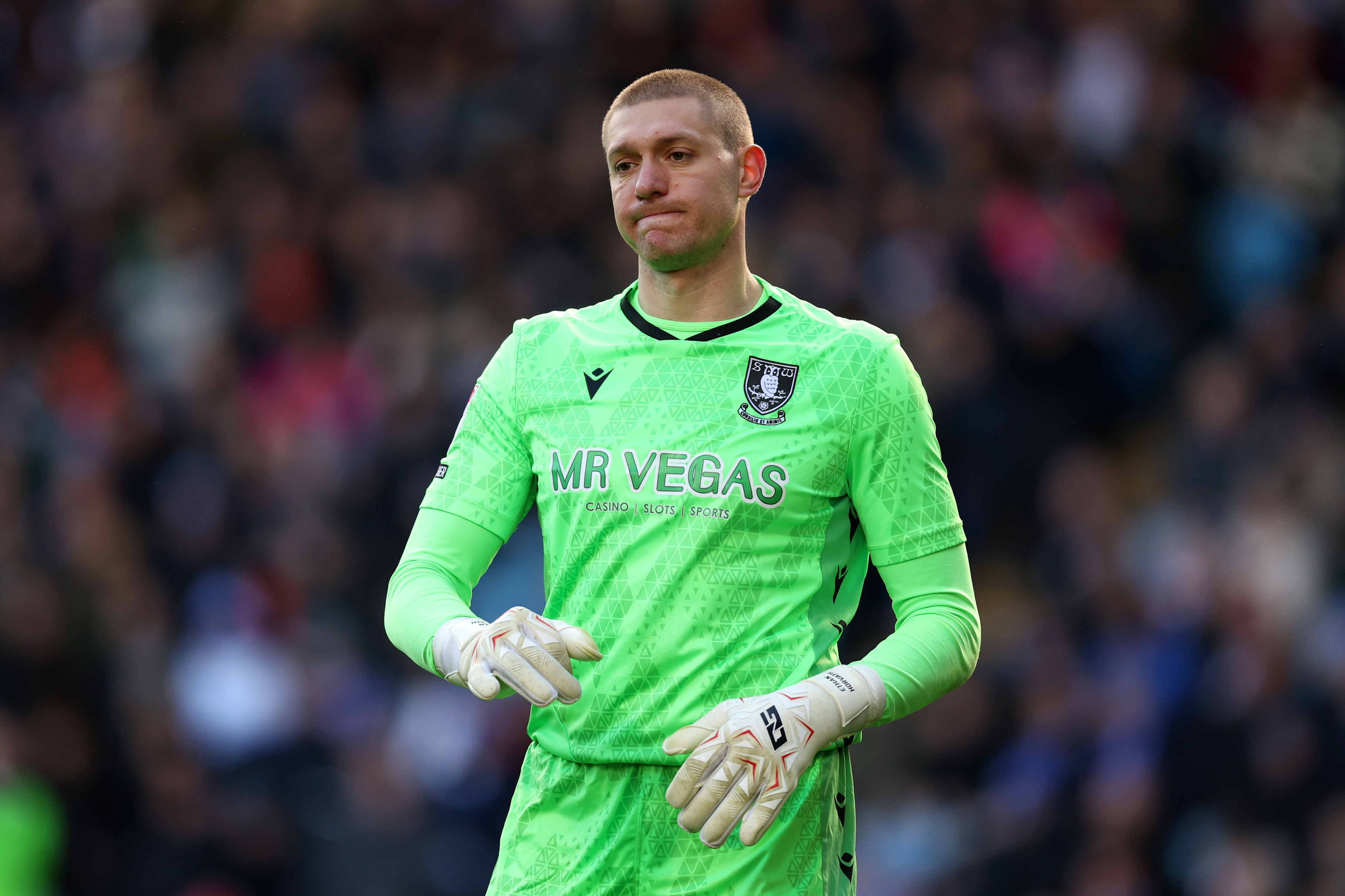 Ethan Horvath exit confirmed as Sheffield Wednesday loan agreement ends