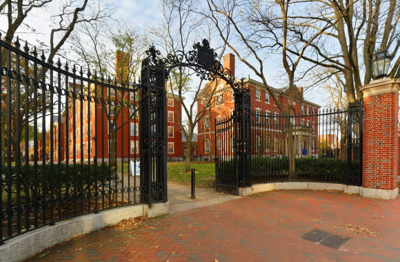 Harvard whistleblower: White males rejected, institution abandons ...