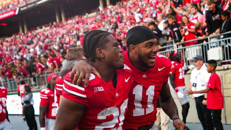 Disappointing Ohio State football player heads for the transfer portal