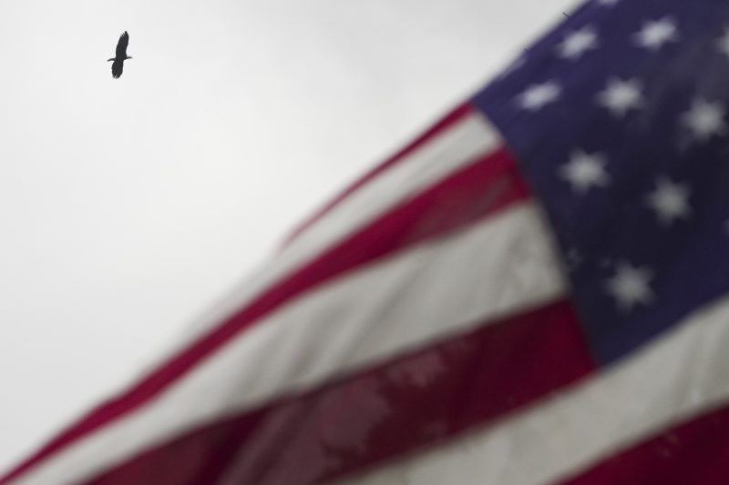 Texas Veterans Commission collecting stories for America’s ...