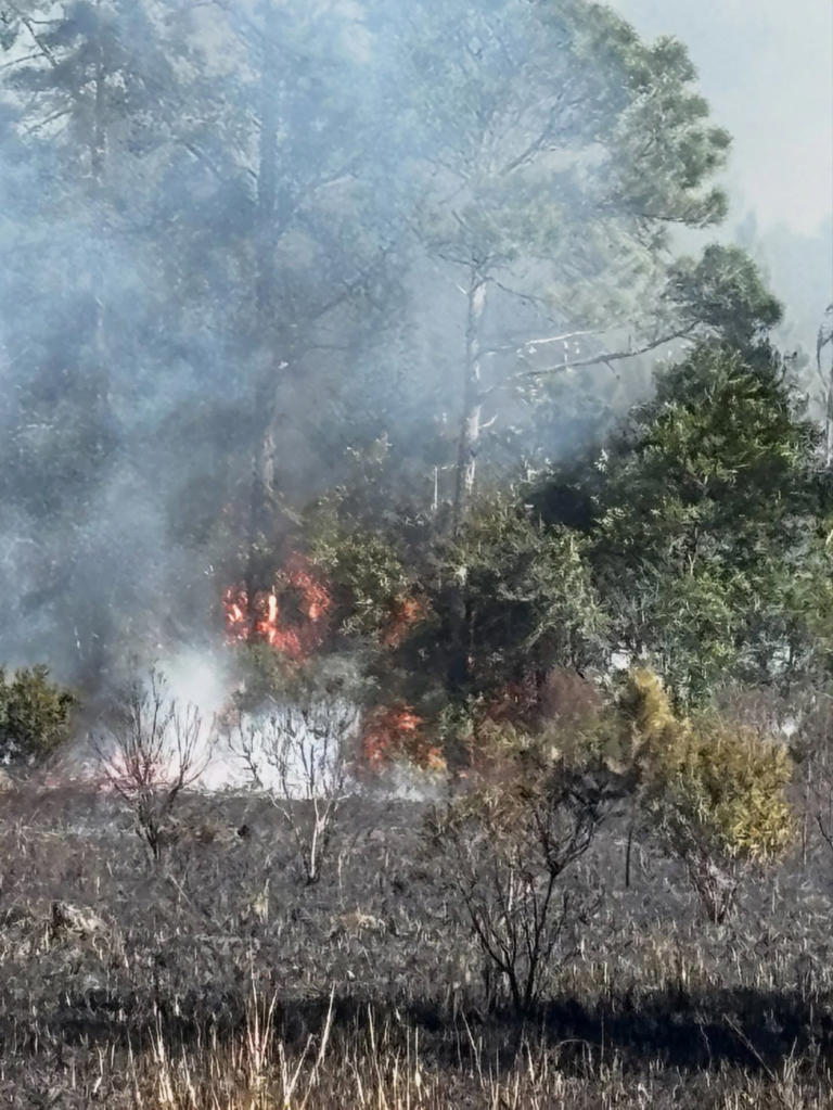 Controlled burn in St. Johns County gets out of control as crews battle ...