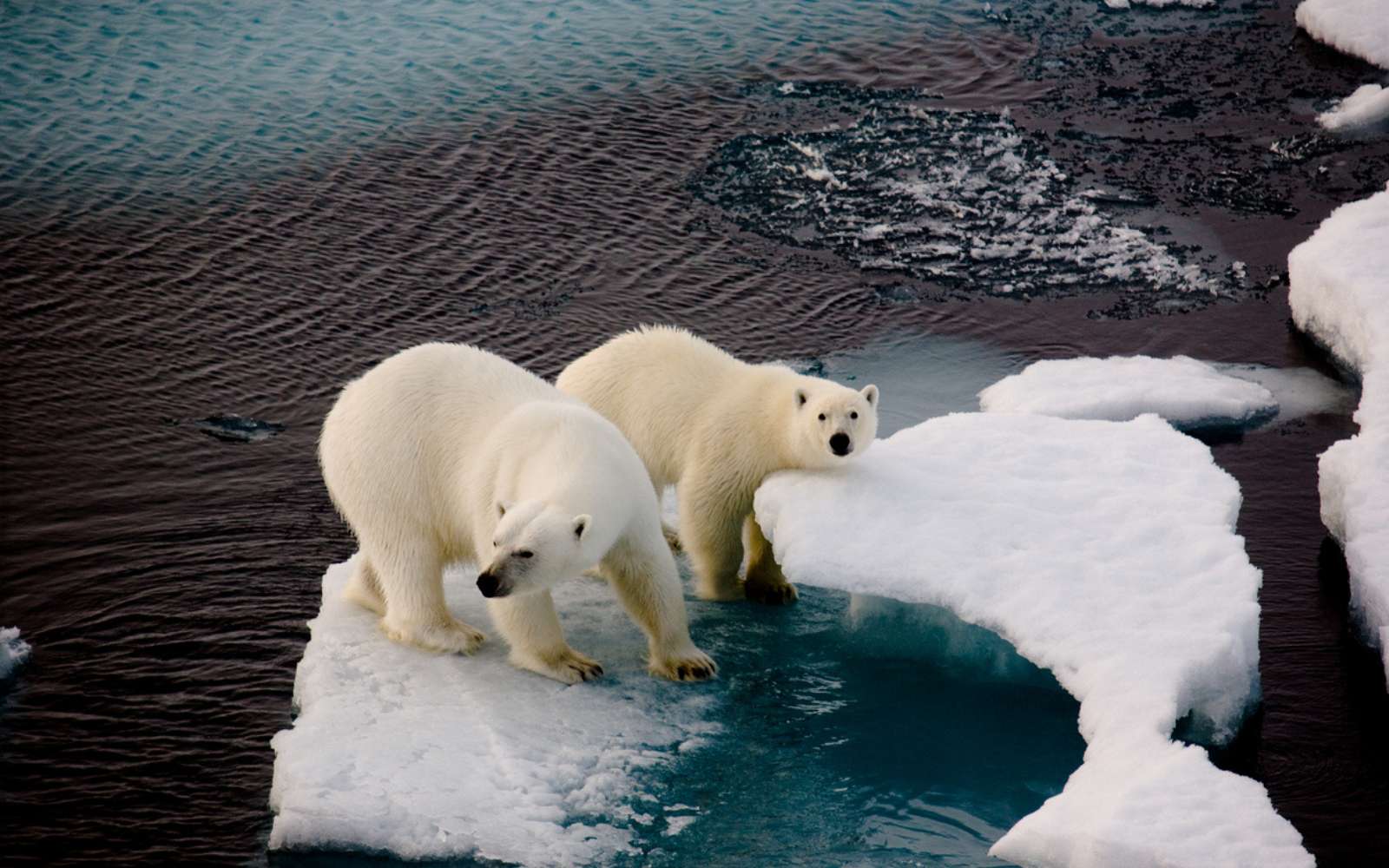Point de non-retour climatique : ce scénario fatal que les ...