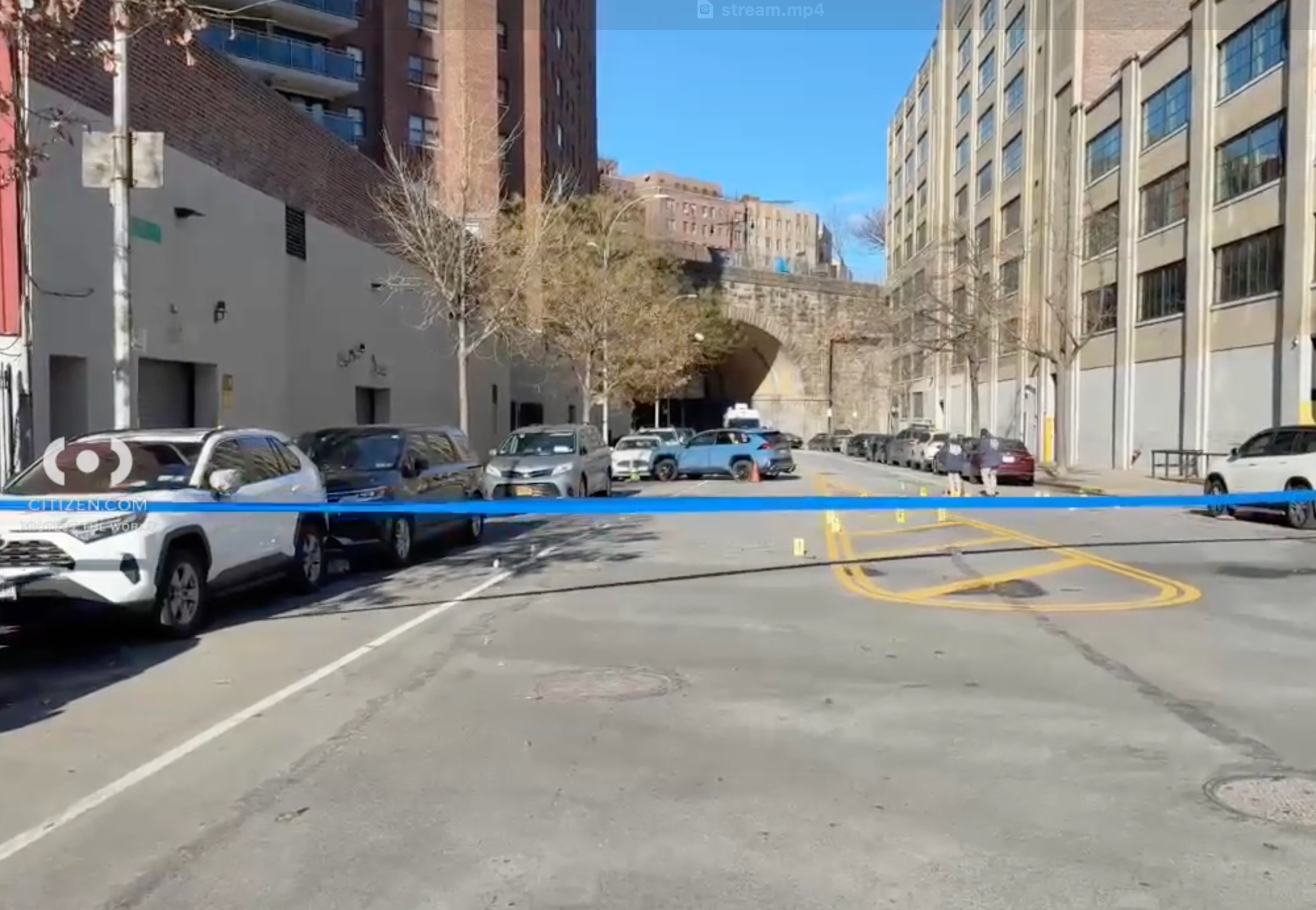 Man shot to death in Bronx car on New Year's Day: police