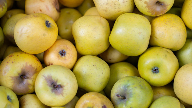This could be why you rarely see Golden Delicious apples in grocery stores