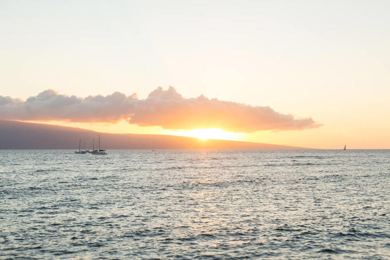 The only 8 Maui boat tours actually worth your money (2026)