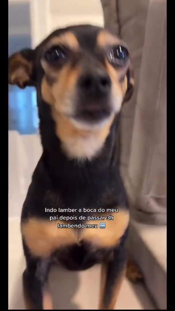 Indo lamber a boca do meu pai