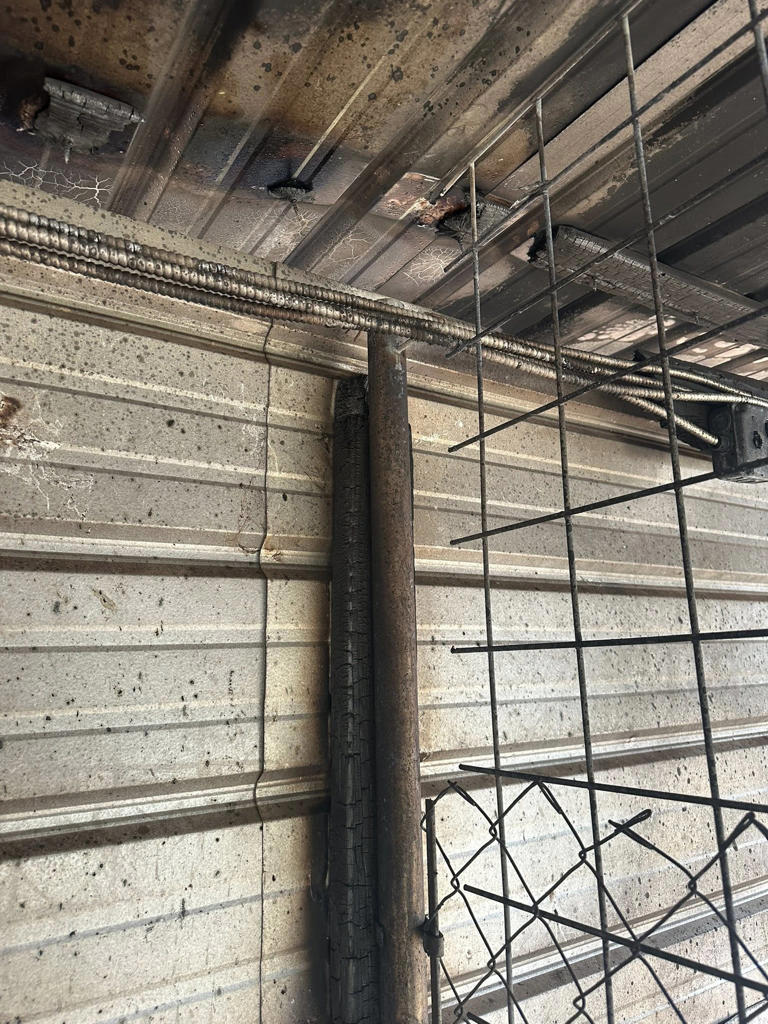 Hamburg dog shelter starts rebuilding after losing everything in ...