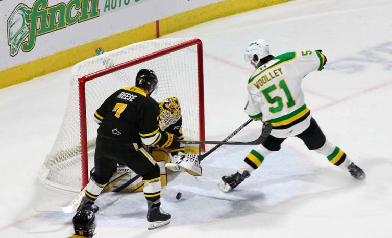 London Knights close out 2025 with home ice loss to Sarnia Sting