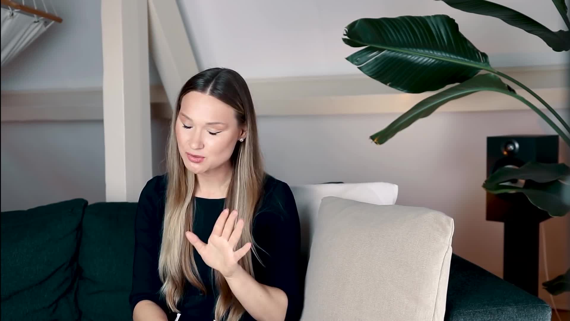 How the autopilot works - Boeing 737