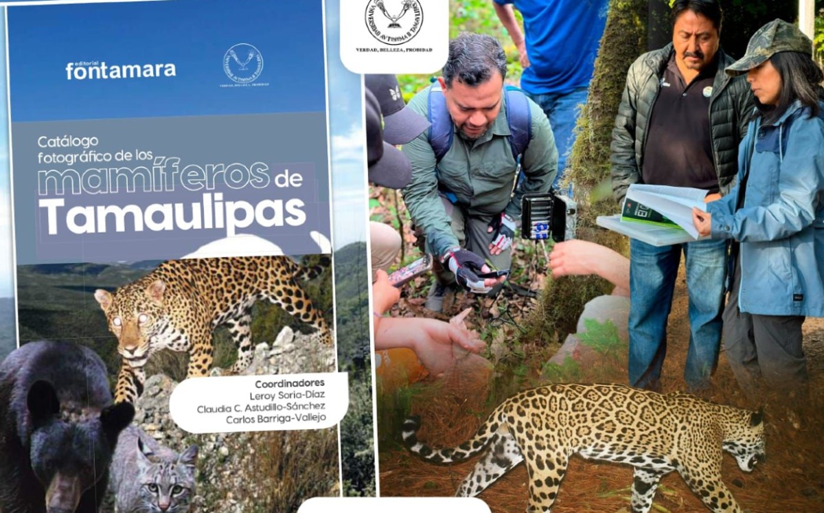 Catálogo fotográfico de la UAT visibiliza especies emblemáticas y ...