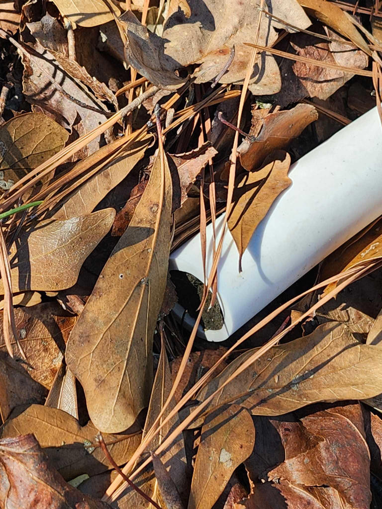 Preliminary autopsy released for missing 4-year-old found dead in ...