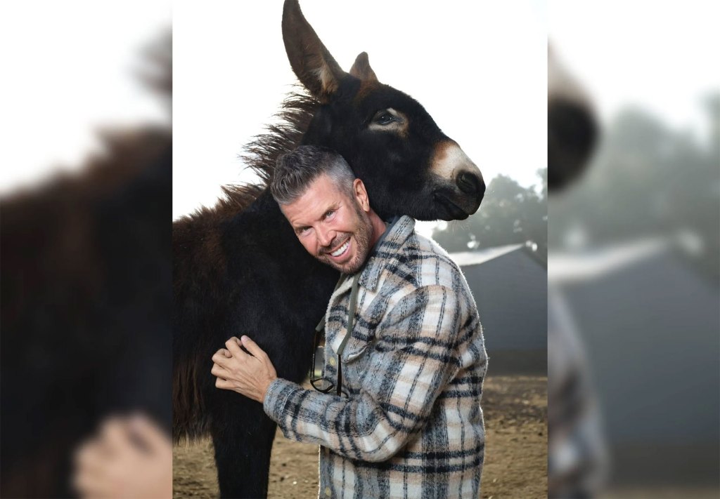 Hopland donkey rescue takes center stage in new reality TV series ...
