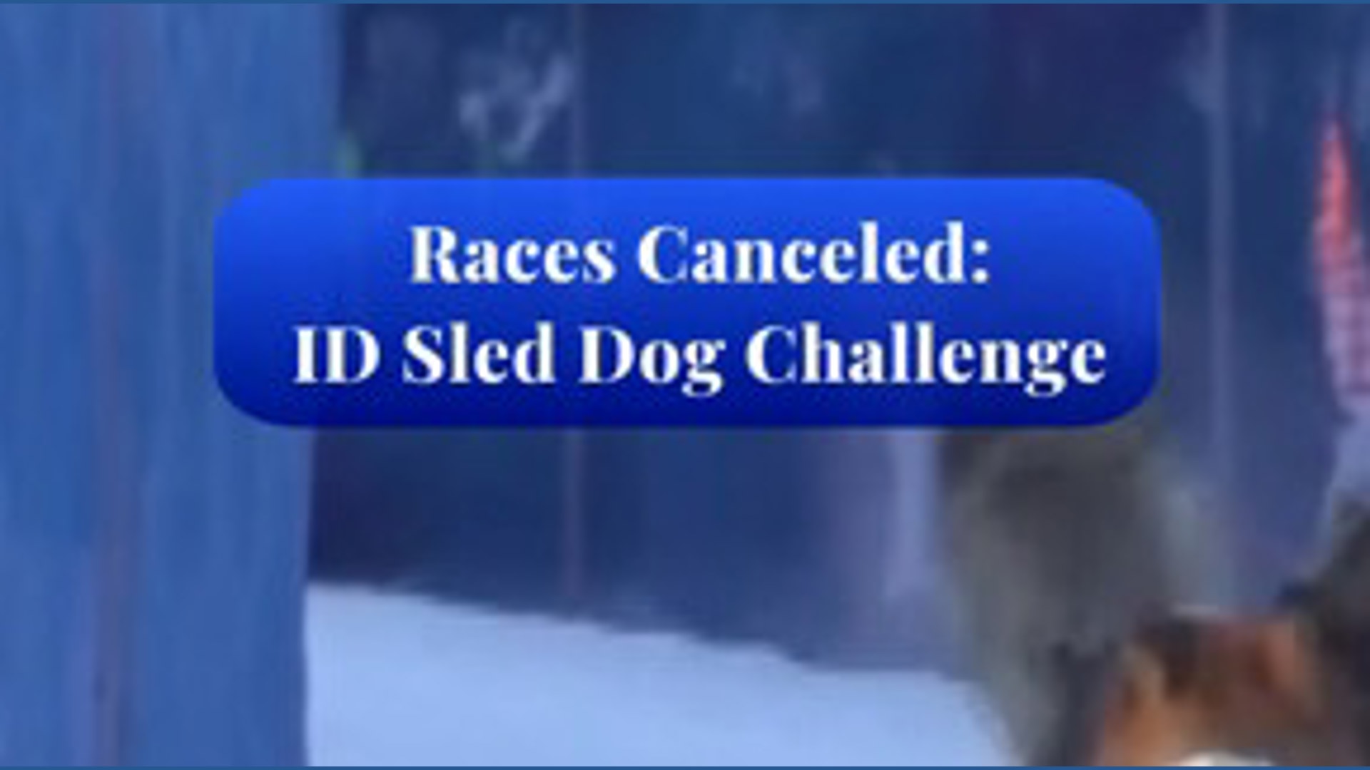 Idaho Sled Dog Challenge cancels longer races due to low snow