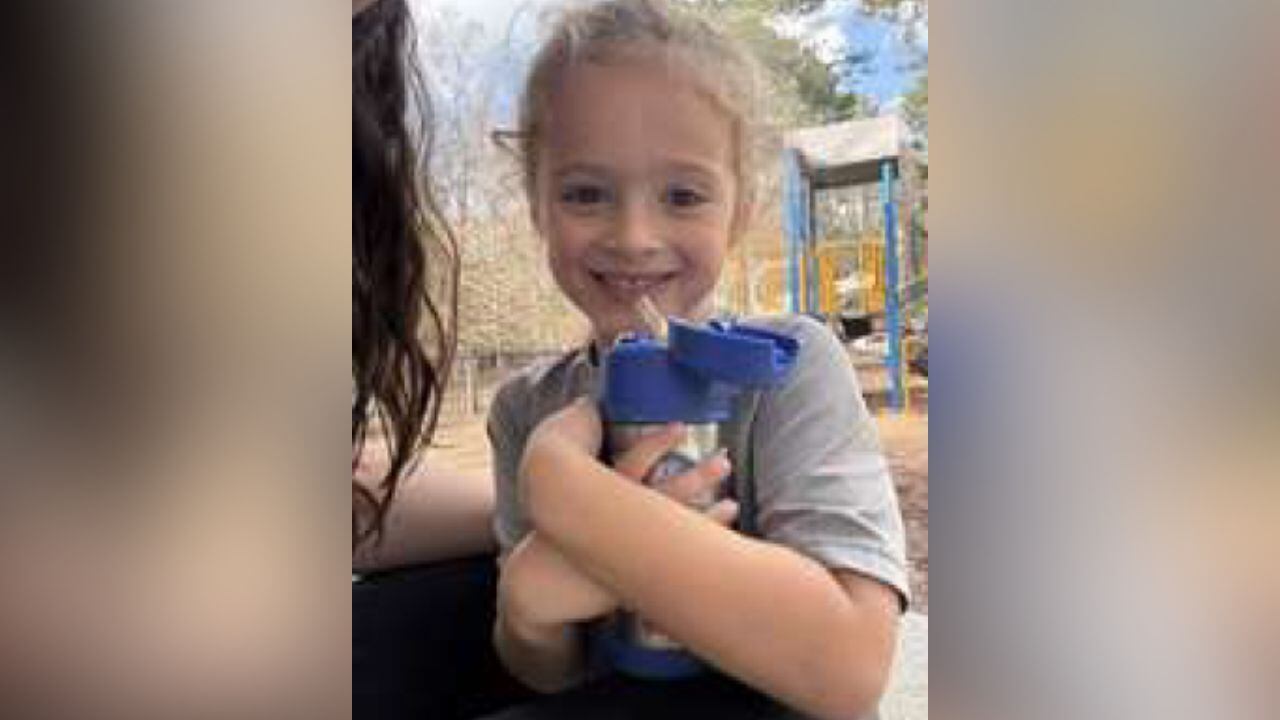 Ground searches underway for missing 5-year-old in Walker County