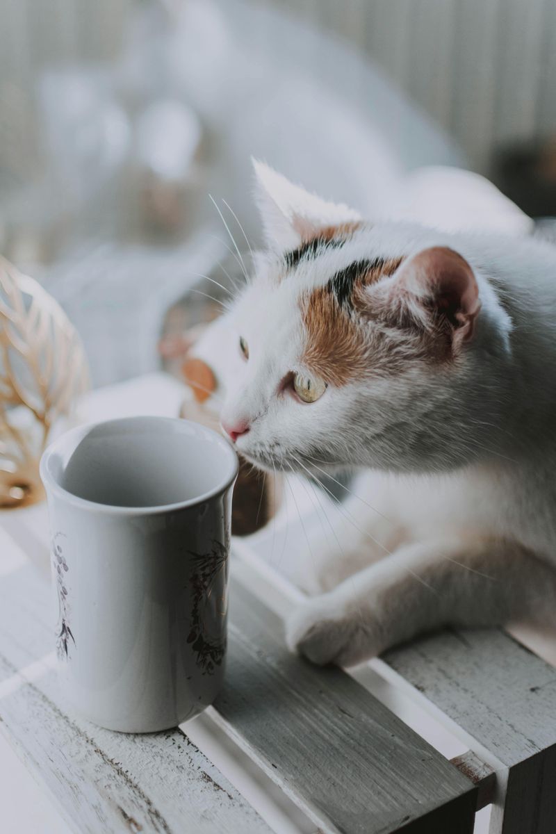 8 sweet things animals do that humans mistake for mischief