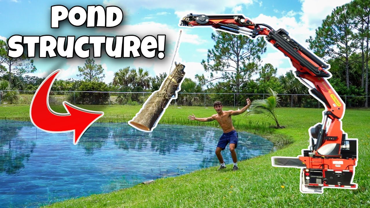 Adding structure to my backyard pond! (Trees and plants)