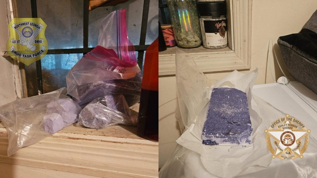 Metro Atlanta drug bust leads to fentanyl, firearms, hand grenade, cash ...