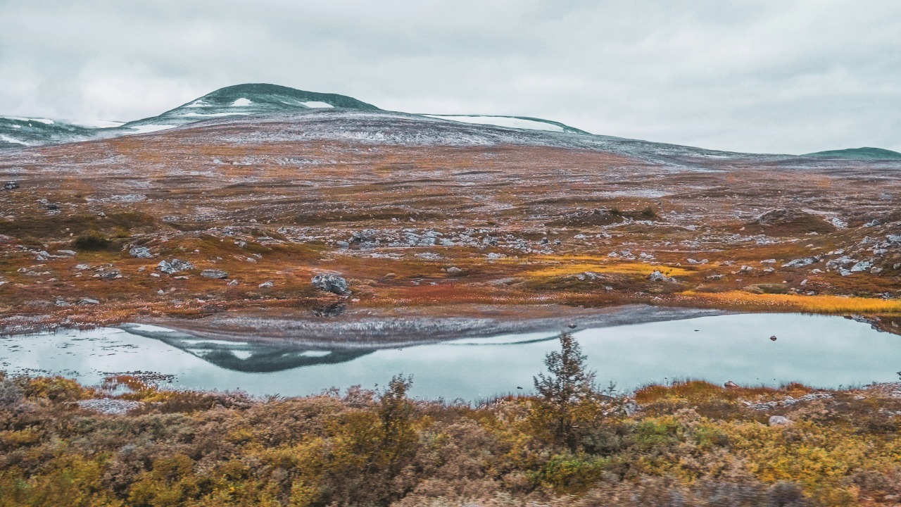Arctic rivers are turning orange as thawing ground spills minerals