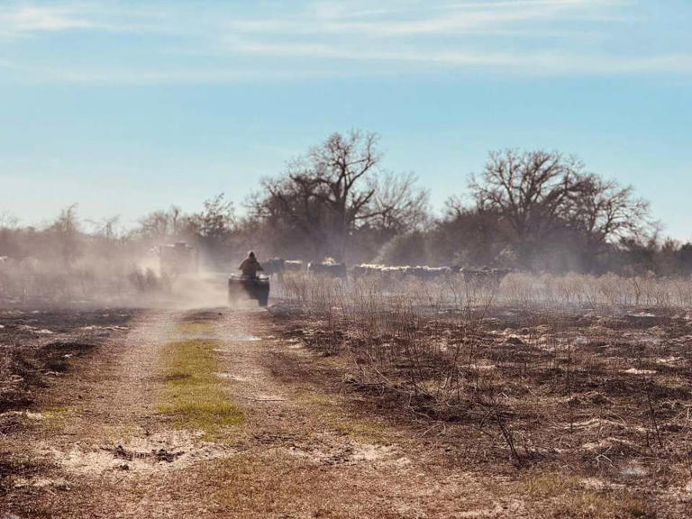 Large brush fire near Robertson Co. power plant extinguished