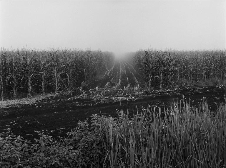 Philip Perkis retrospective celebrates photographer's legacy