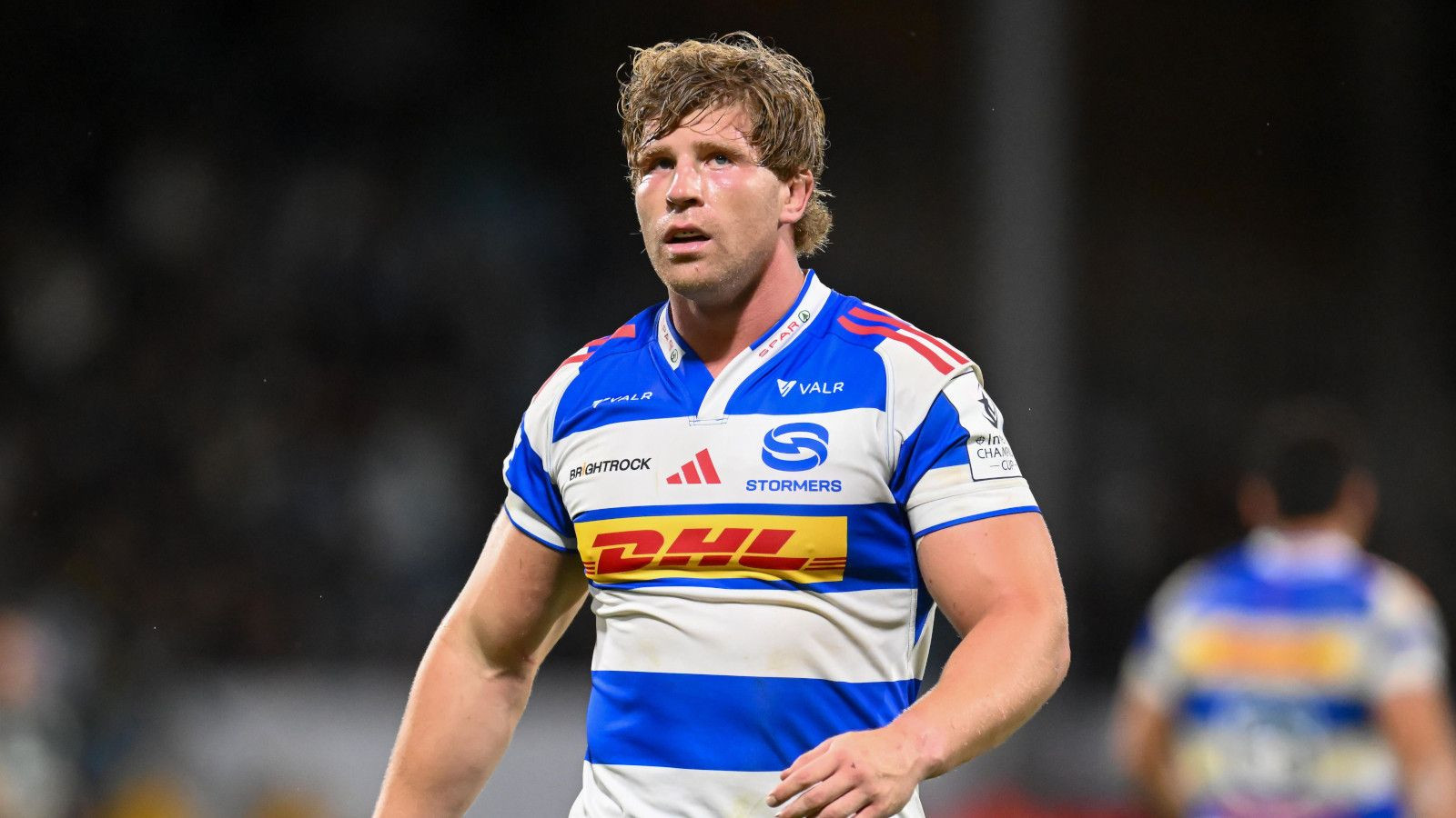 Evan Roos warns form counts for little as Stormers brace for bruising ...