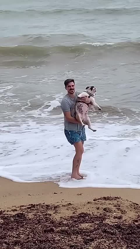 Madalena conhece a praia #shorts