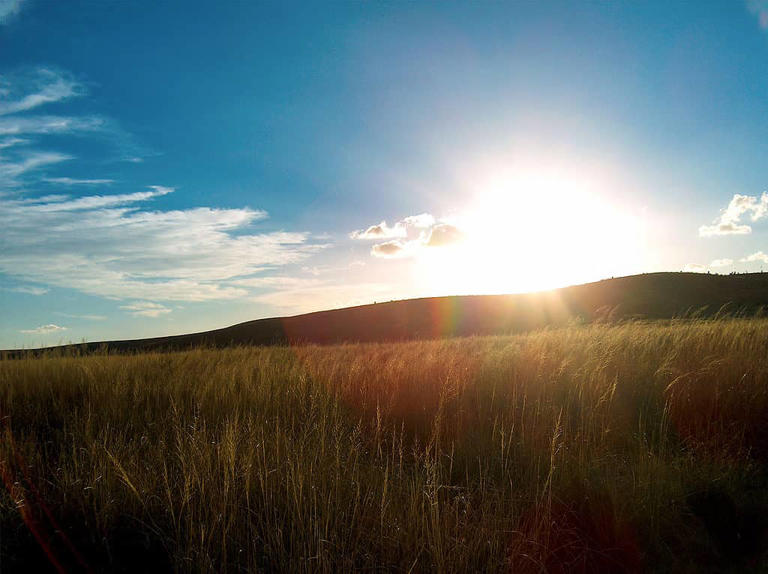 How working ranches keep open land and wildlife habitat intact