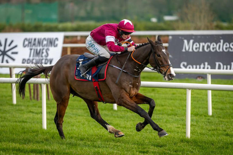 Cheltenham Festival 2026 tips: Seven dark horses that can light up the ...