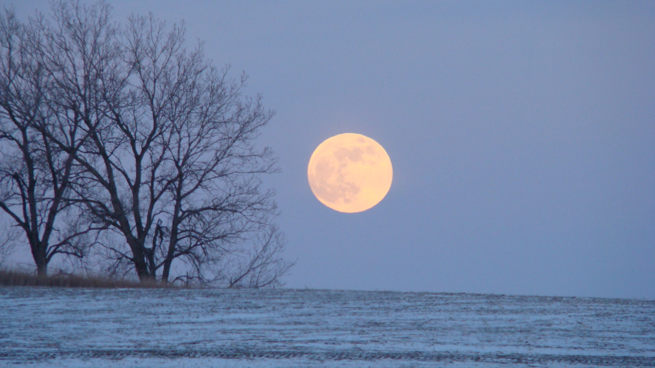 January 'wolf supermoon': How to see the full moon rise with Jupiter ...