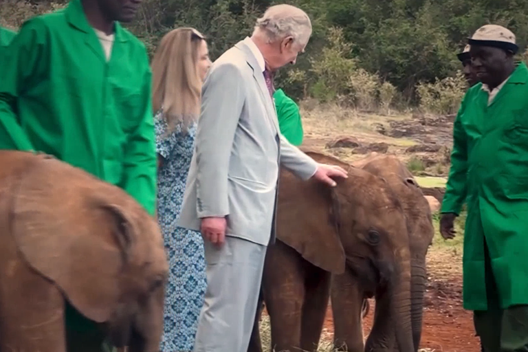 King details importance of harmony with nature in new documentary