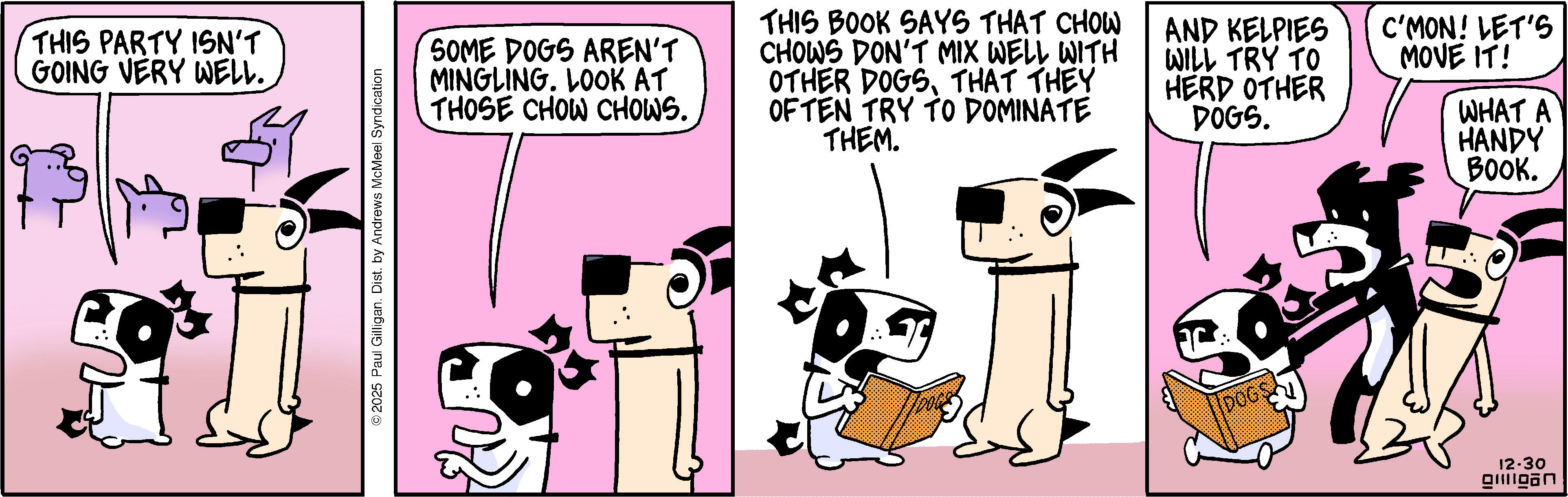 Pooch Cafe by Paul Gilligan