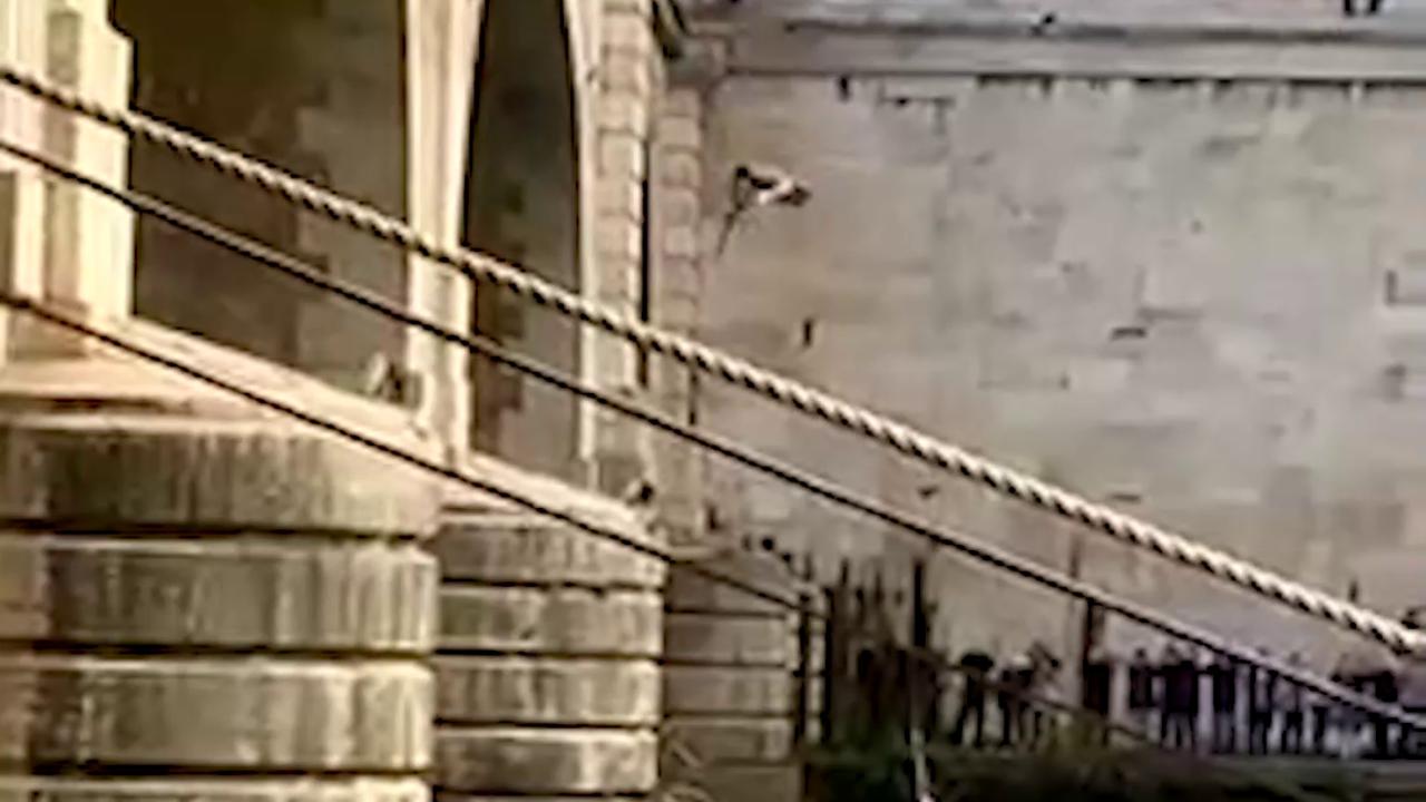 Tuffo di Capodanno nel Tevere da Ponte Cavour