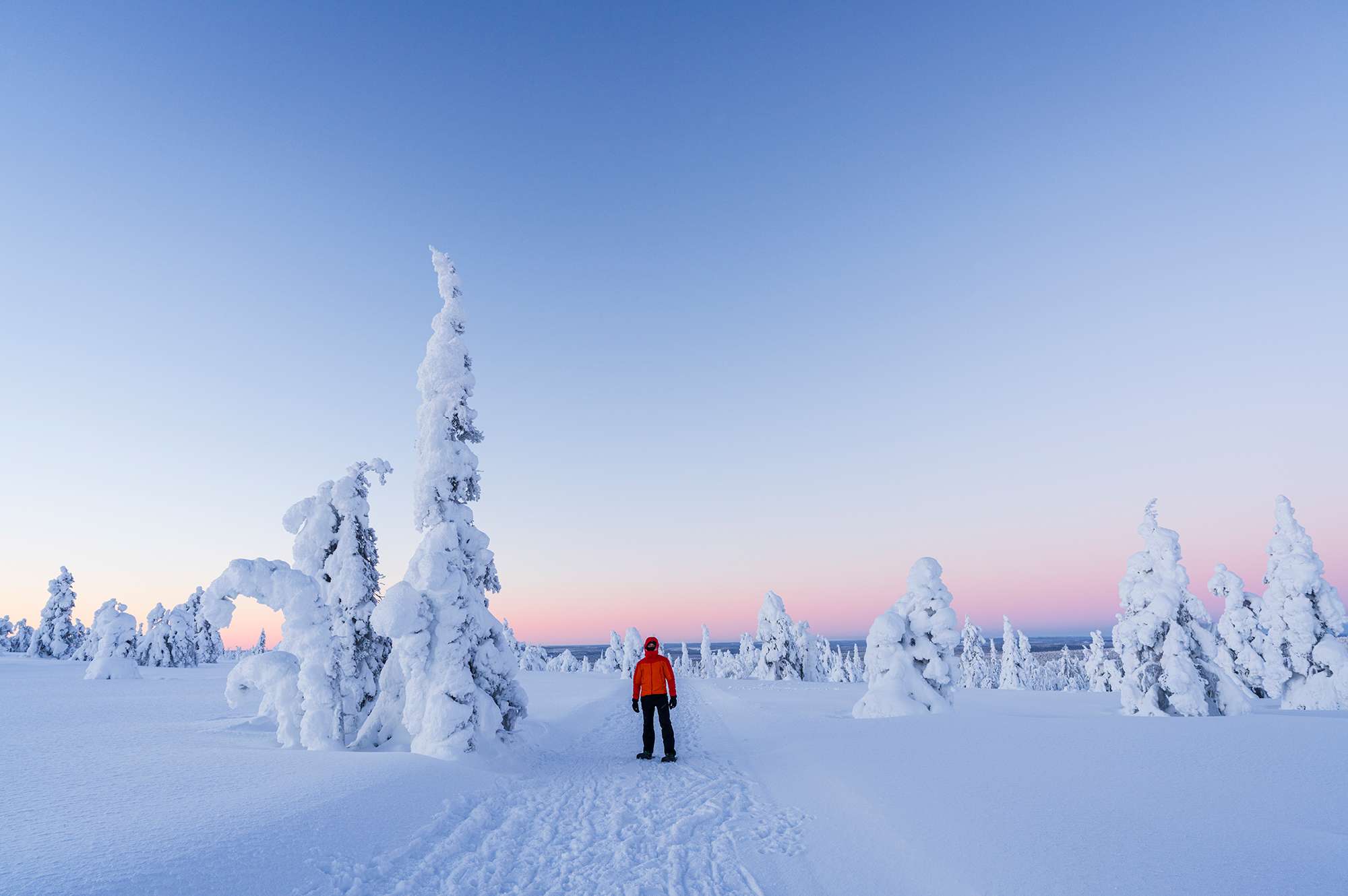 The surprising science behind why cold air feels so good—and where to ...