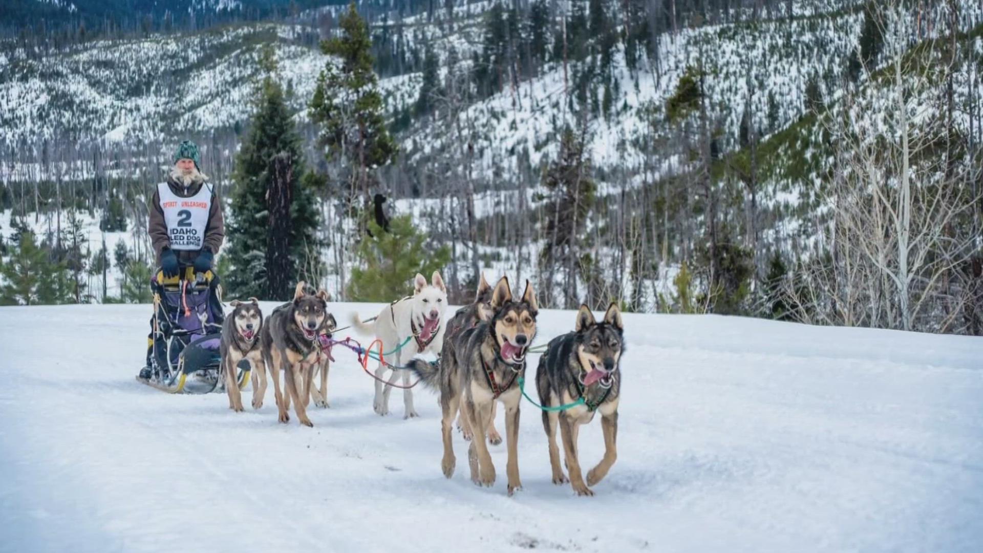 Idaho Sled Dog Challenge cancels races due to poor snow conditions