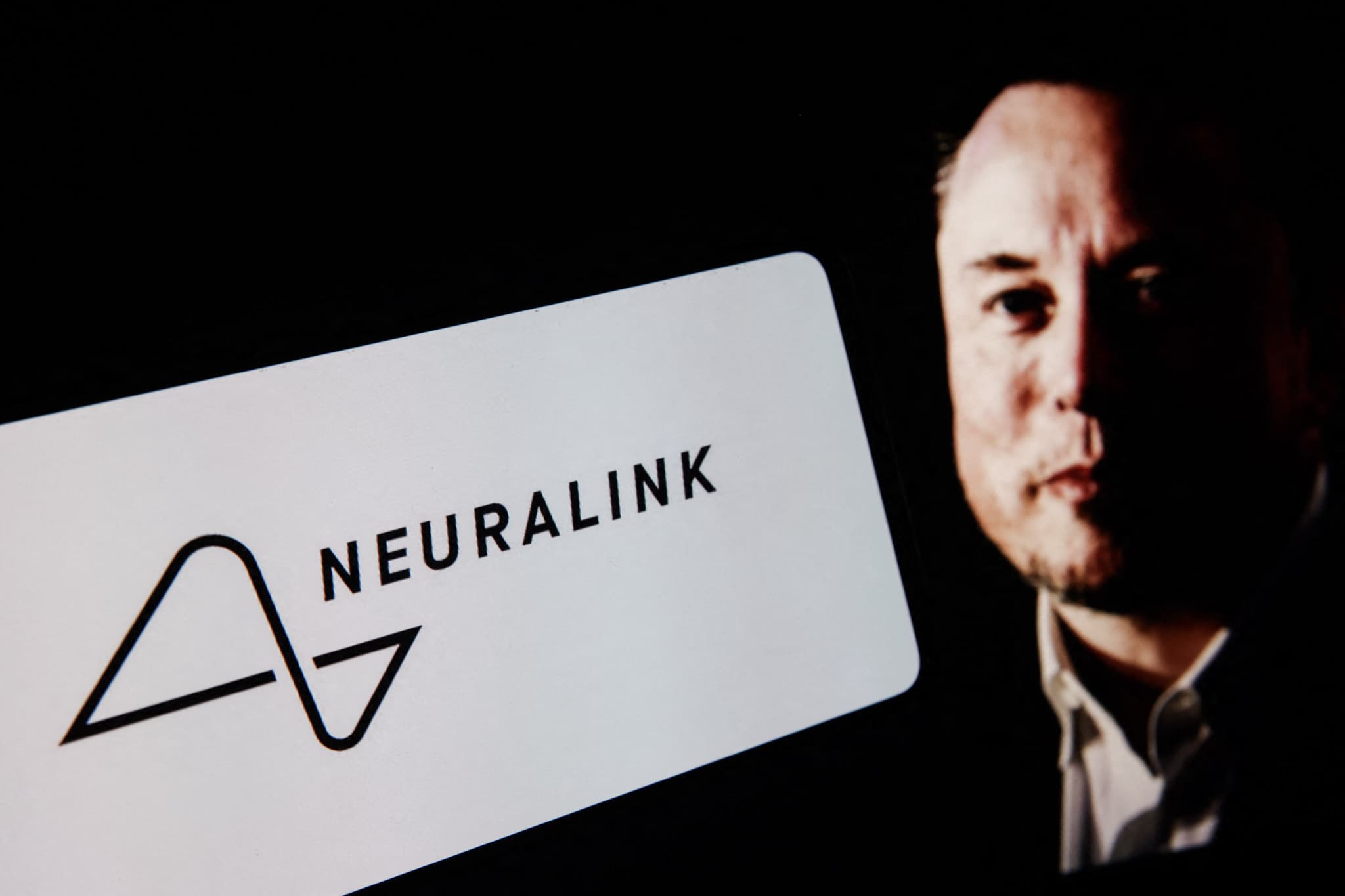 Elon Musk assure que Neuralink lancera la production à grande échelle ...