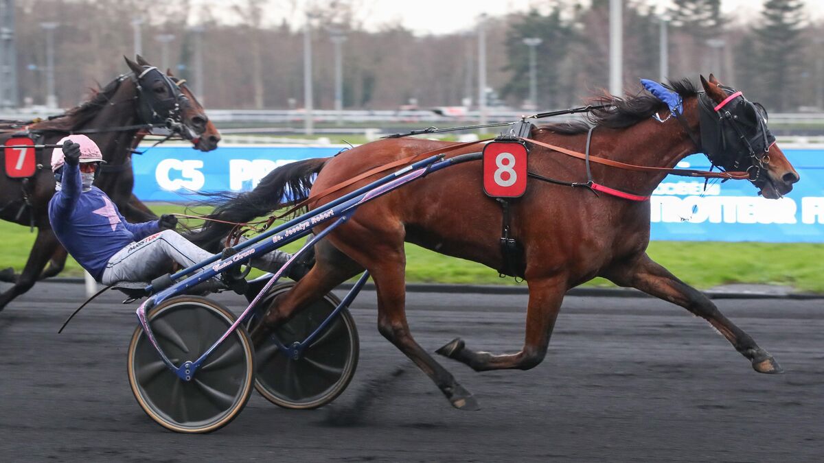 Arrivée du quinté du jeudi 1er janvier à Paris-Vincennes : Rikita Jp ...